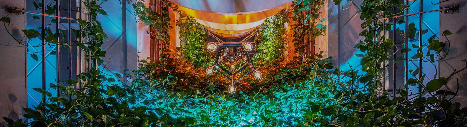 Softvérová spoločnosť | msg life Slovakia