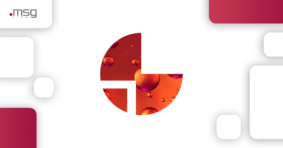 msg.Migration System softvér a digitálne technológie